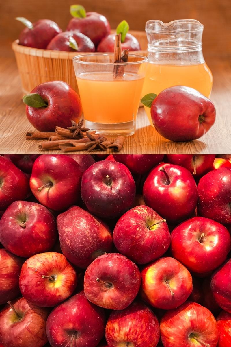 Apple Cider Vinegar and Gut Inflammation: What the Research Says - Gut ...