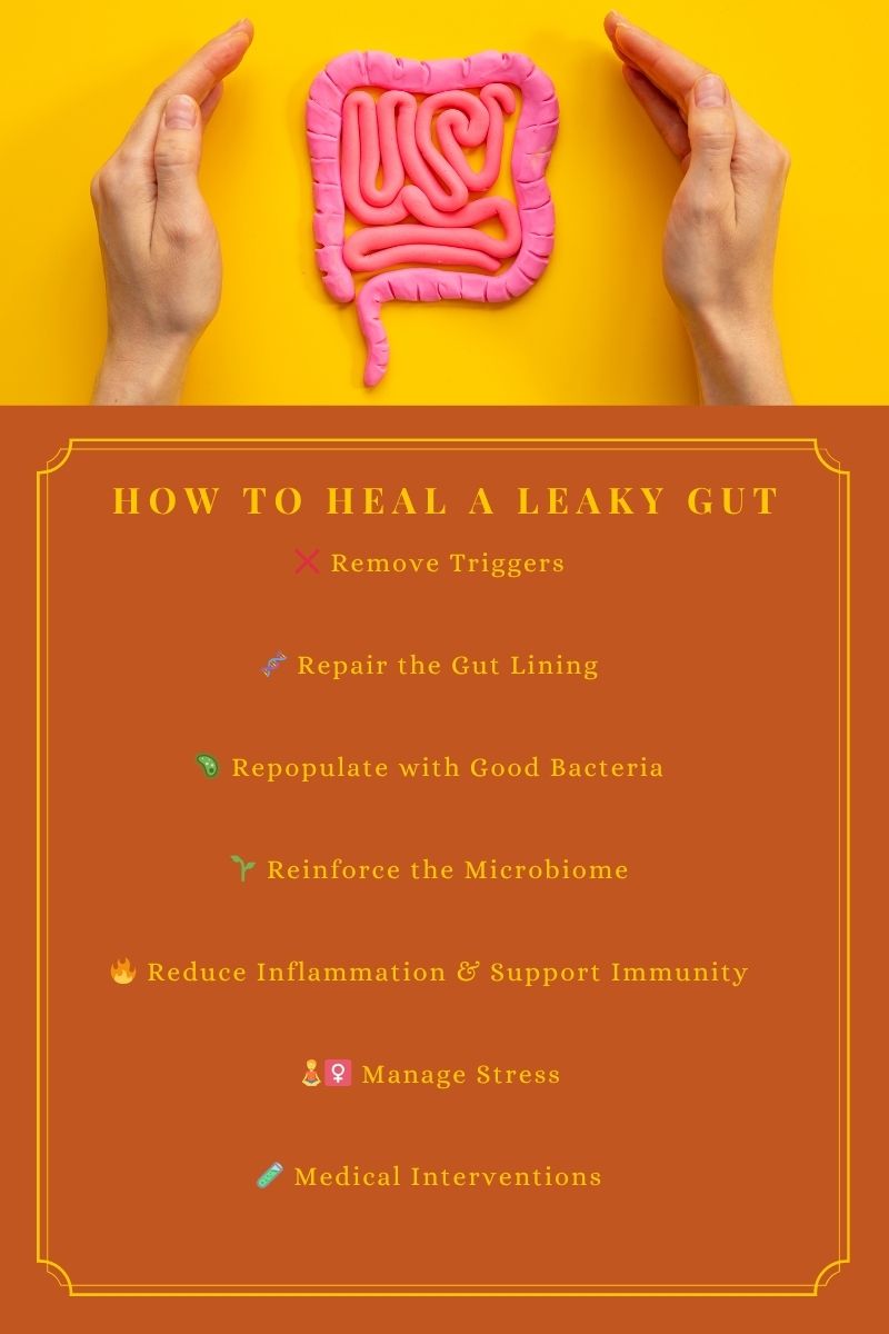 Signs of Bad Gut Health - and What to Do About It - Gut Health From Scratch