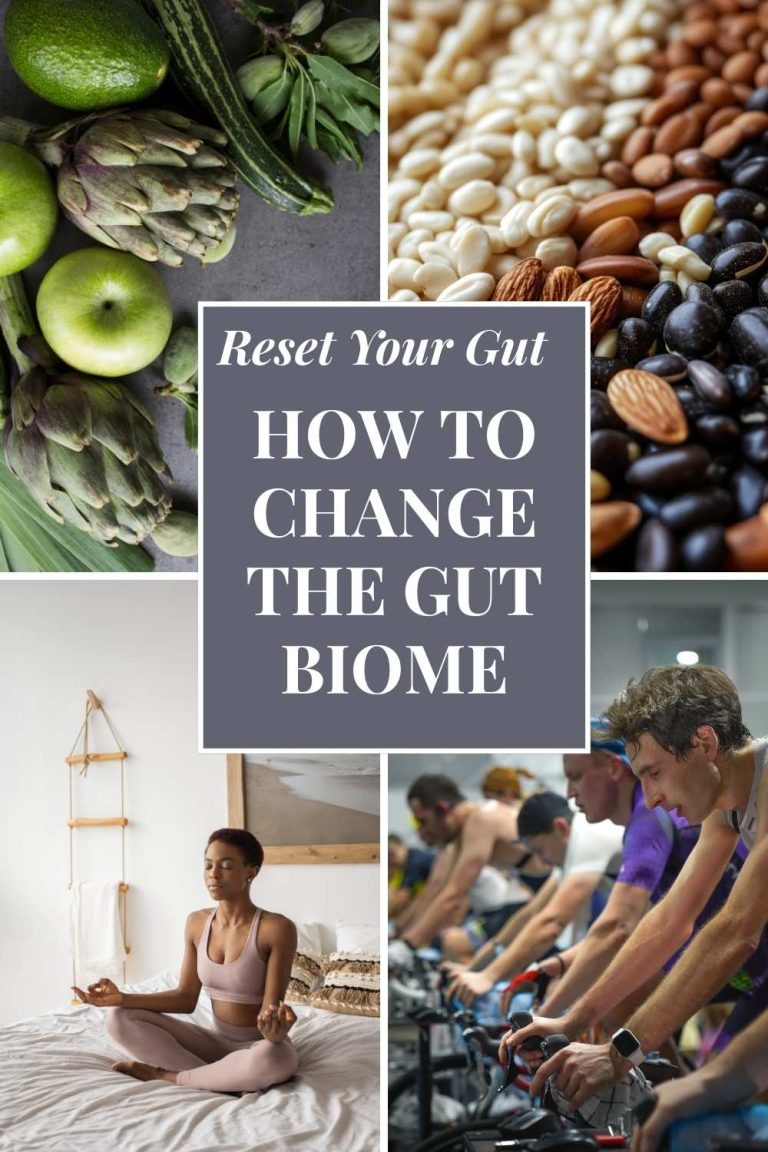 Gut Health Explained by a Microbiologist: The Science, The Cause of ...